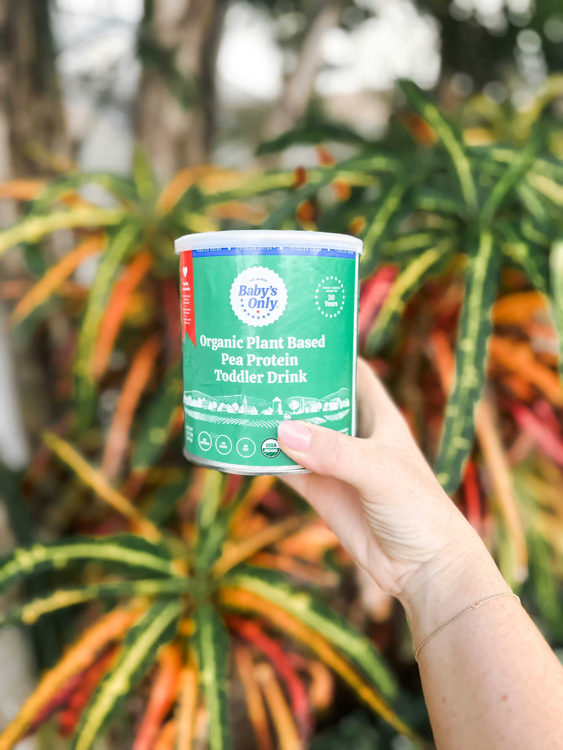 Review of Baby’s Only Organic Plant Based Pea Protein Toddler Drink ...
